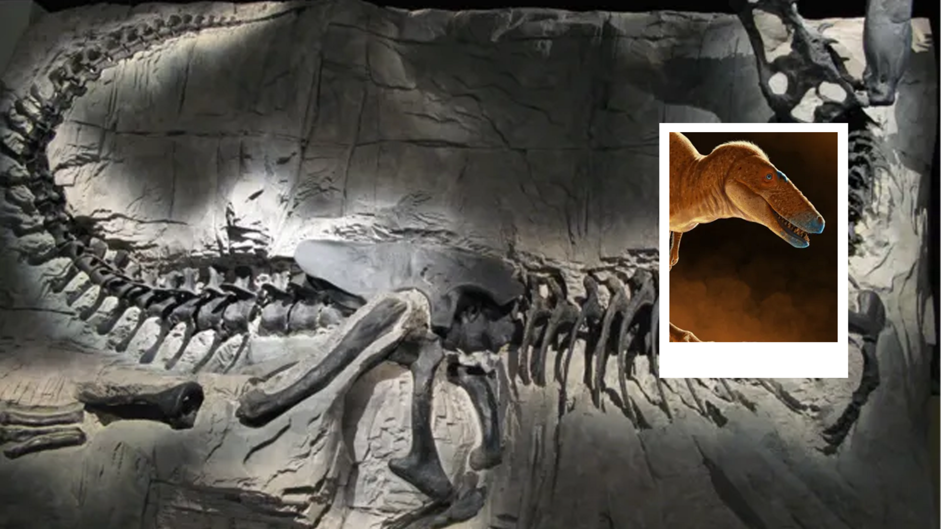 Before T. rex ruled the world: New dinosaur discovery reshapes ...